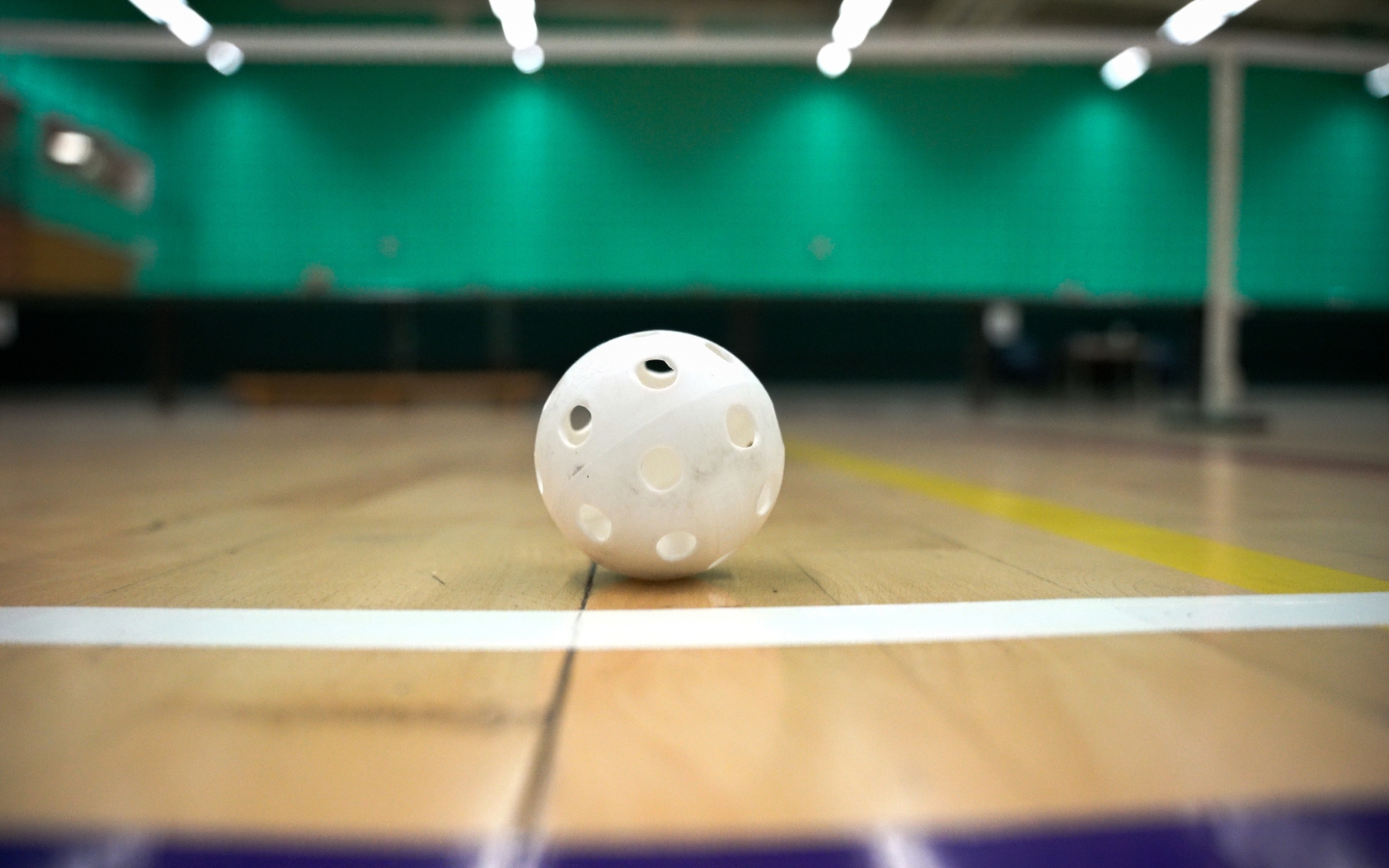 Terrain de pickleball intérieur : Installation / Dimensions / Prix